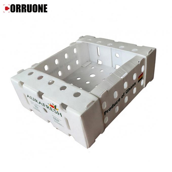 Glossy 10mm 12mm Corrugated Plastic Packaging Boxes With Lid