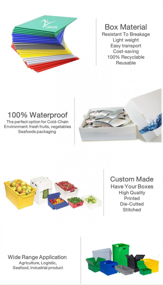 100L Blue PP Corrugated Pallet Box Foldable Coaming Container Bins