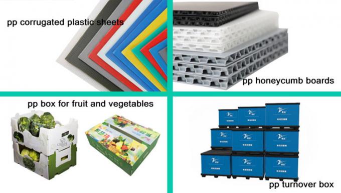 Correx 10mm Plastic Archive Boxes Carton Coroplast Environmental Friendly