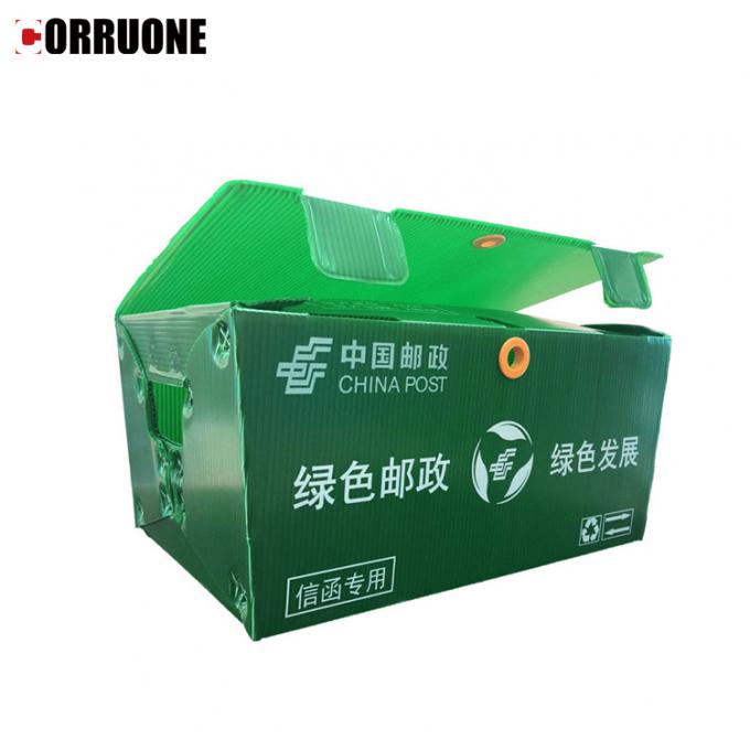 A4 Nuc Asparagus Corrugated Plastic Sheet Box With UV Coating