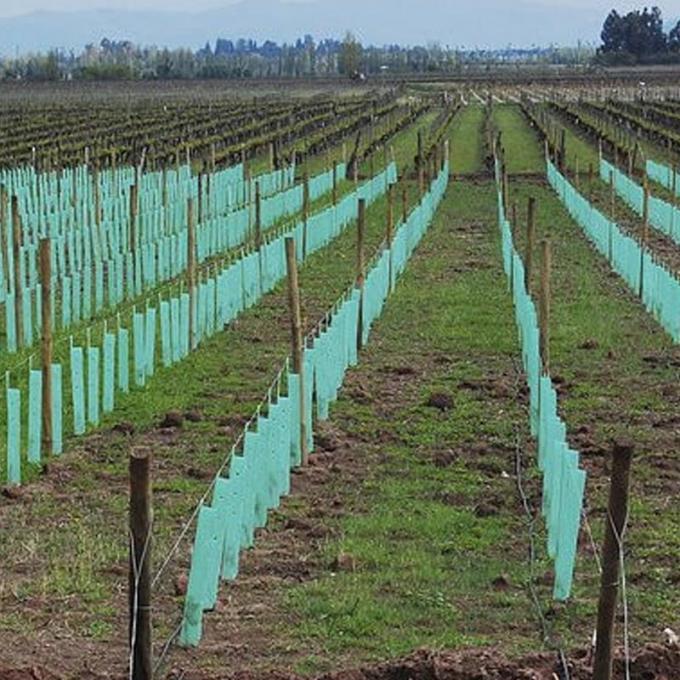 12mm Thickness Corrugated Tree Guards Durable