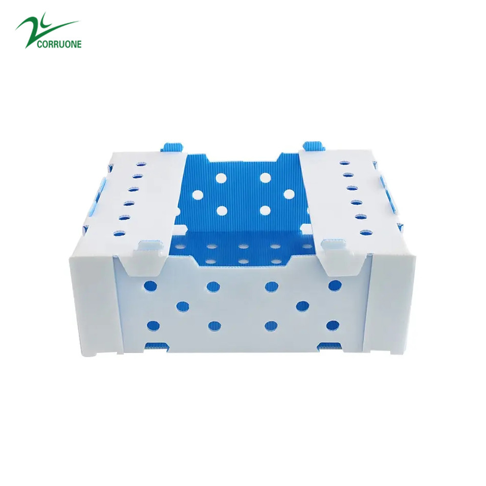 Cartonplast Twinwall Corrugated Plastic Produce Boxes Stackable