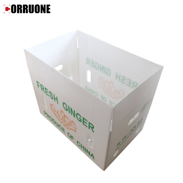 Glossy 10mm 12mm Corrugated Plastic Packaging Boxes With Lid