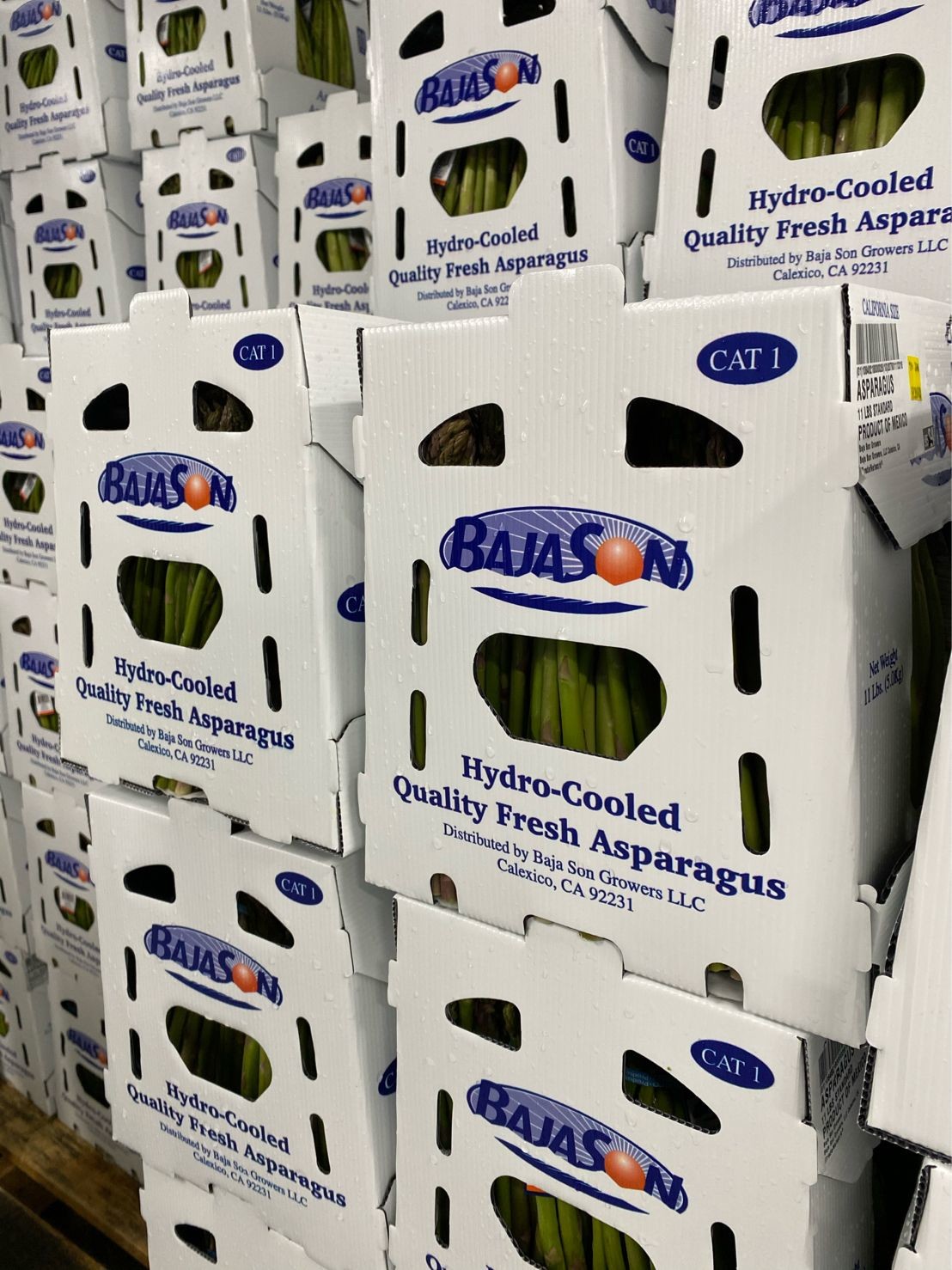 Stackable Fluted PP Corrugated Box Polypropylene PP Flute Box