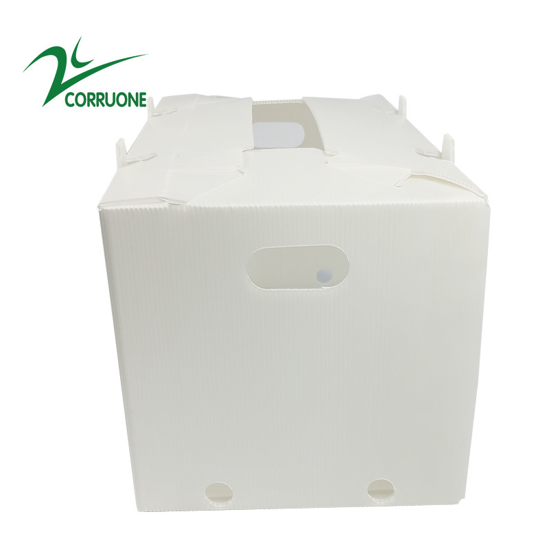 2mm-11mm Hollow Carton Coroplast Correx Collapsible Corrugated Plastic ...