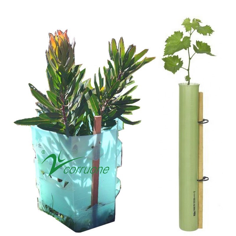 Eco PP Corrugated Plastic Tree Guard Green Corflute Guards Waterproof