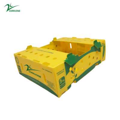 A4 Nuc Asparagus Corrugated Plastic Sheet Box With UV Coating