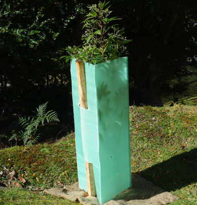 Corruone Polypropylene Plastic Corrugated Roll Corrugated Plastic Tree ...